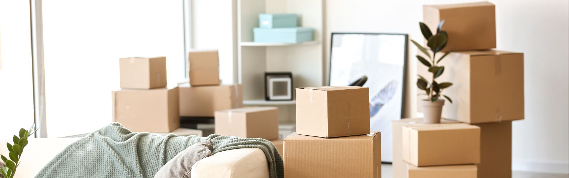 Finding A Reliable Removals Company | Bournemouth Removals